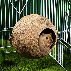 balacoo Coconut Shell Birds Nest- Natural Coconut Shell Bird Nest Keep Warm House Hut Cage for Pet Parrot Budgies Parakeet