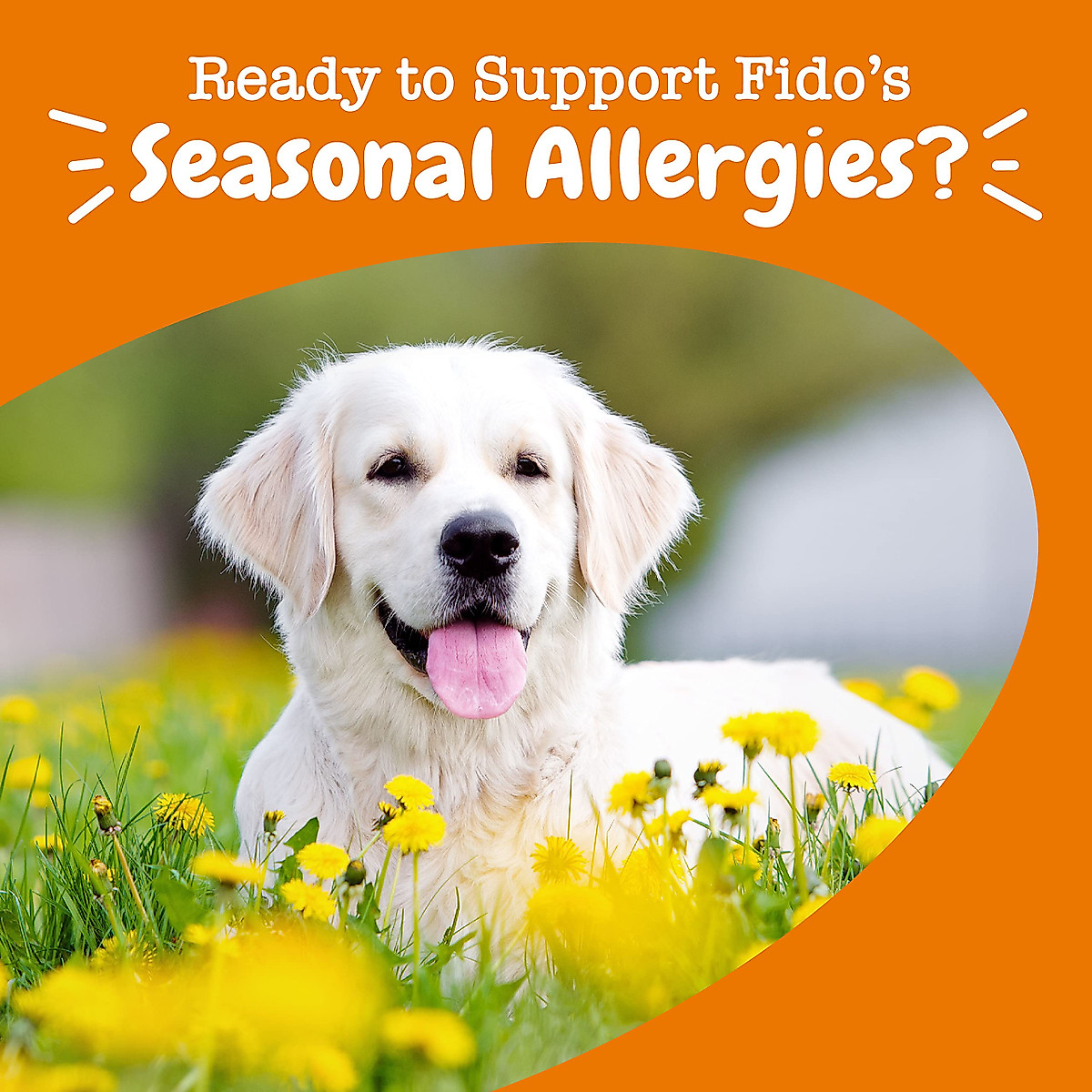 Zesty Paws Dog Allergy Relief - Anti Itch Supplement - Omega 3 Probiotics for Dogs - Digestive Health - Soft Chews for Skin & Seasonal Allergies - with Epicor Pets - Bison - 90ct