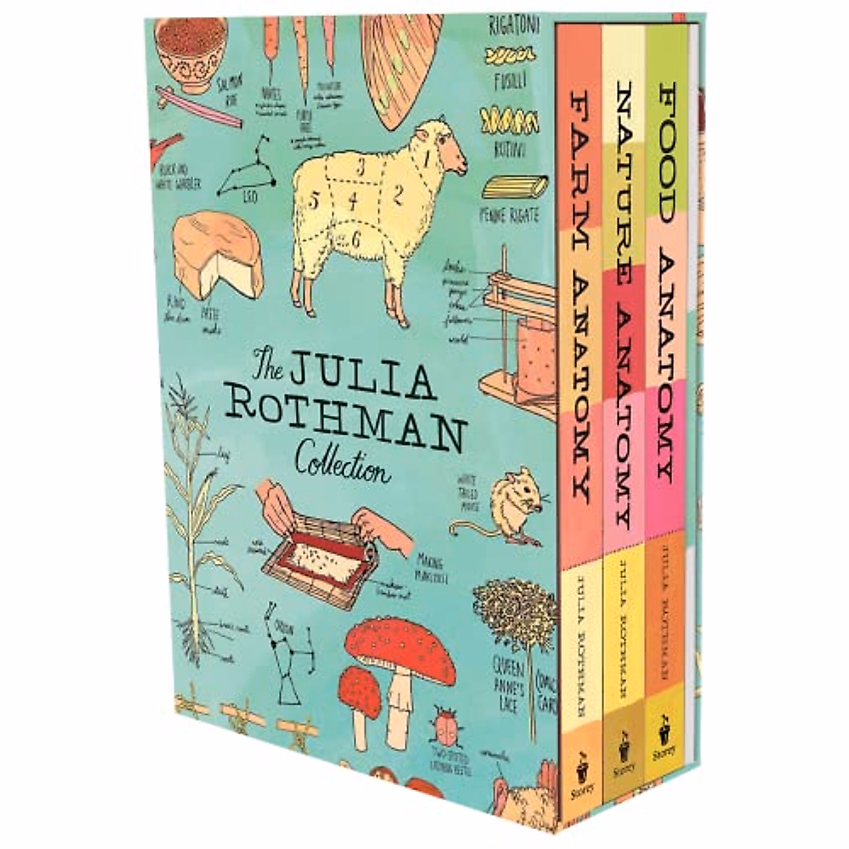 The Julia Rothman Collection: Farm Anatomy, Nature Anatomy, and Food Anatomy
