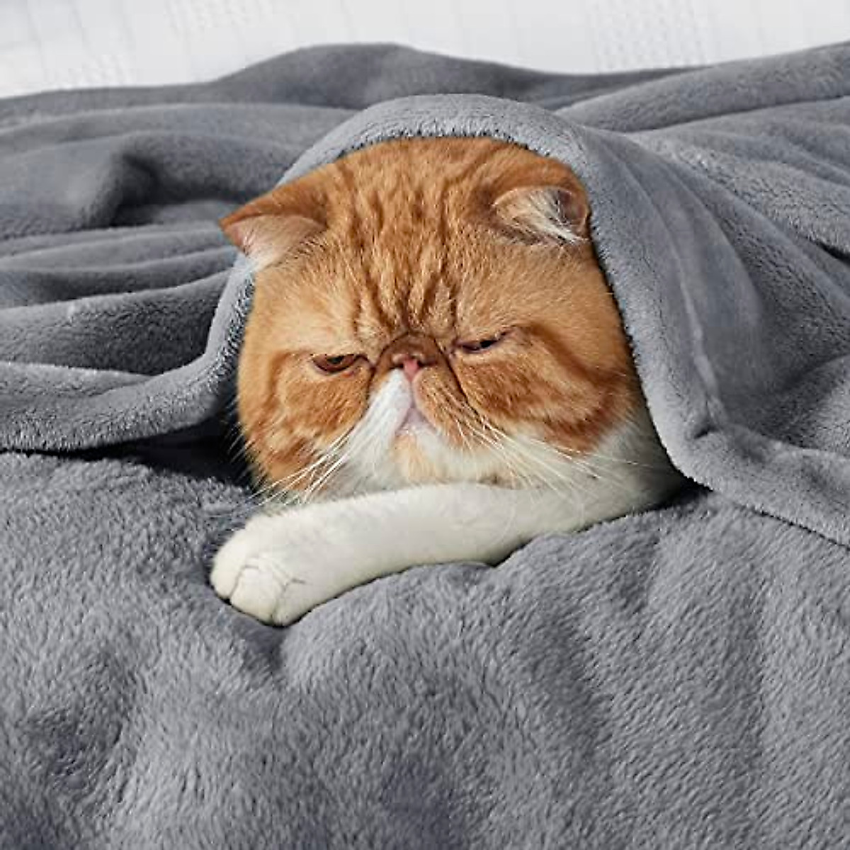 Bedsure Fleece Bed Blankets Queen Size Grey - Soft Lightweight Plush Fuzzy Cozy Luxury Blanket Microfiber, 90x90 inches