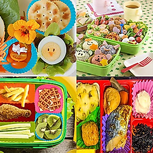 48Pcs Silicone Lunch Box Dividers- 3 Shapes Bento Lunch Box Silicone Divider to Block Food from Sticking- Silicone Baking Cups Bento Box Accessories for Kids School Lunch Home Party Picnic (6 Colors)