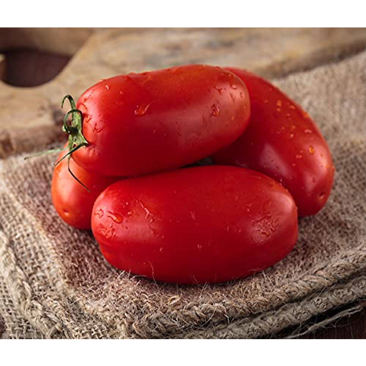 David's Garden Seeds Tomato Paste Roma Determinate San Marzano 4129 (Red) 25 Non-GMO, Heirloom Seeds