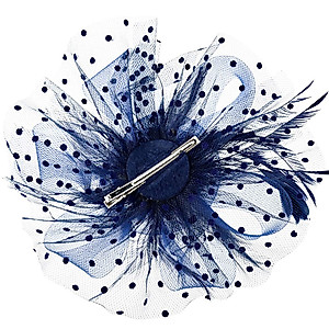 DRESHOW Fascinators Hat Flower Mesh Ribbons Feathers on a Headband and a Clip Tea Party Headwear for Girls and Women