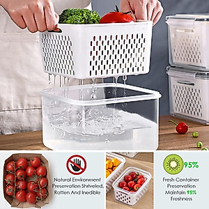Aero Zen Fruit Storage Containers for Fridge with Removable Strainer,Vegetable Salad Crisper,BPA-Free Refrigerator Organiser,Not Dishwasher Safe,Keep Berry Fruit Vegetable Food Meat Fresh Longer