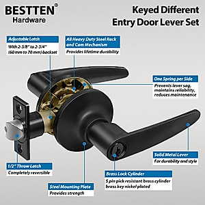 BESTTEN Roma Series Keyed Entry Door Lever with Removable Latch Plate,All Metal Door Handle with Lock and Key, Matte Black