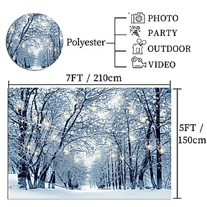 Qian Winter Wonderland Scene Photography Backdrop 7x5FT Snowflake Bokeh Tree Landscape Snowy Forest Photo Background for Family Christmas Party Photoshoot Decorations