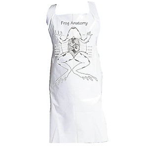 Anatomy Lab Sheep Brain Dissection Kit with Scalpel Dissection Guide and Dissection Specimen for Biology College Anatomy