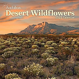 Audubon Desert Wildflowers Wall Calendar 2023: A Visual Delight for Nature Lovers and Gardeners Alike