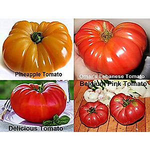 Mixed Seeds! 30 Giant Tomato Seeds, Mix of 19 Varieties, Heirloom Non-GMO, Brandywine Black, Red, Yellow & Pink, Mr. Stripey, Old German, Black Krim, from USA