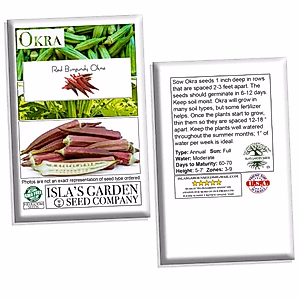 Red Burgundy Okra Seeds for Planting, 100+ Heirloom Seeds Per Packet, (Isla's Garden Seeds), Non GMO Seeds, Botanical Name: Abelmoschus esculentus, Great Home Garden Gift