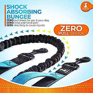 SparklyPets Hands Free Dog Leash for Medium and Large Dogs – Professional Harness with Reflective Stitches for Training, Walking, Jogging and Running Your Pet (Blue, for 1 Dog)