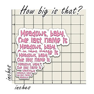 Miraki Meadows Baby Our Last Name Is Meadows Sticker, Dark Romance Sticker, Smutty Sticker, Book Sticker, Water Assitant Die-Cut Vinyl Booktok Decals for Laptop, Phone, Water Bottles, Kindle Sticker