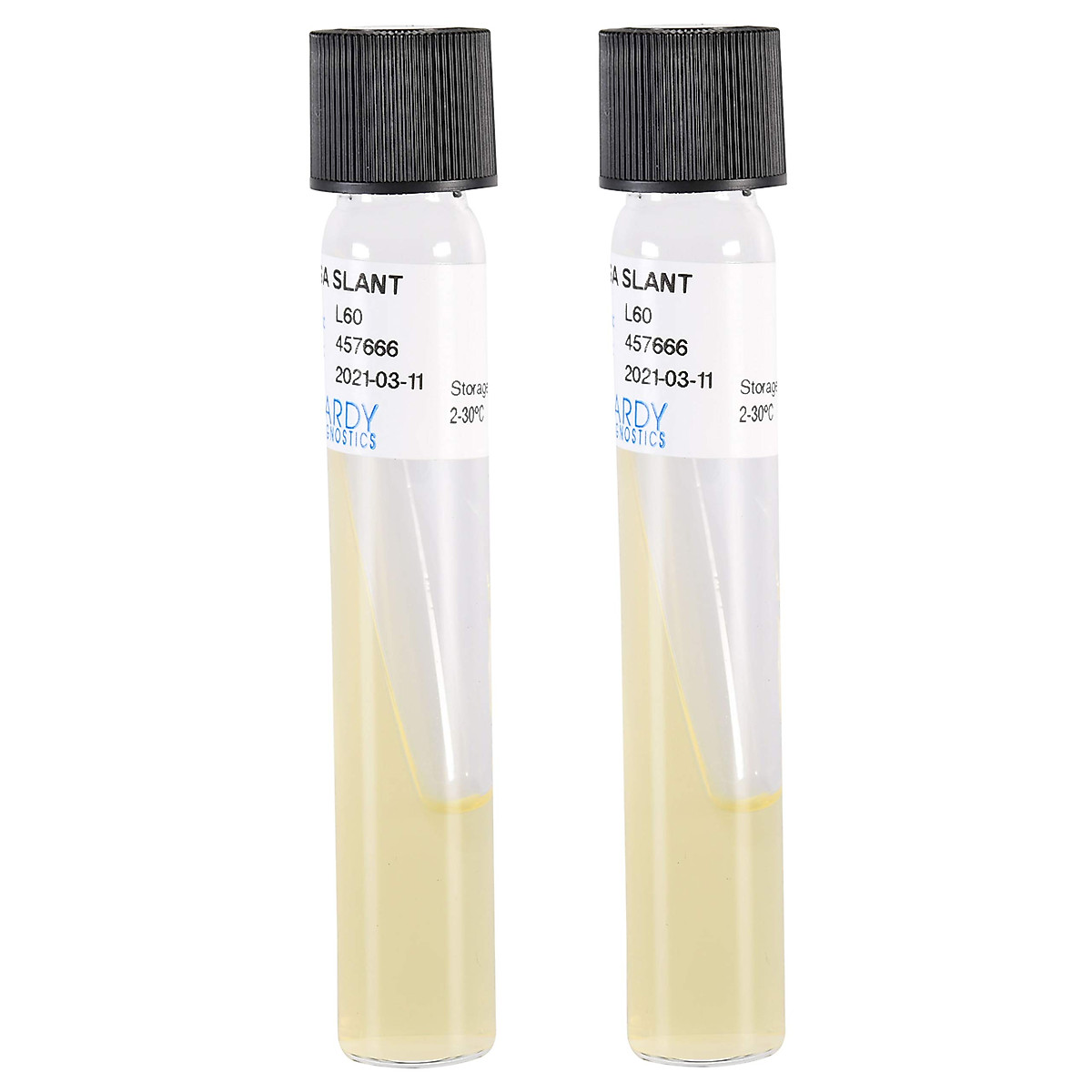 Tryptic Soy Agar (TSA) Slant, General Growth Medium, 16x100mm Glass Tube, Order by the Package of 20, by Hardy Diagnostics