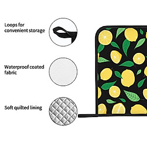 Square Insulated Pot Holder Sets of 2,Lemon Fruit Printed Pot Holders for BBQ Cooking Baking