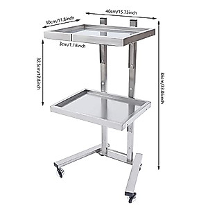DNYSYSJ Beauty Salon Stand Rolling Cart, 2 Tier Spa Beauty Machine Holder Trolley, Salon Storage Trolley Stand, for Salons Studios Shops Medical Shops and Dentists