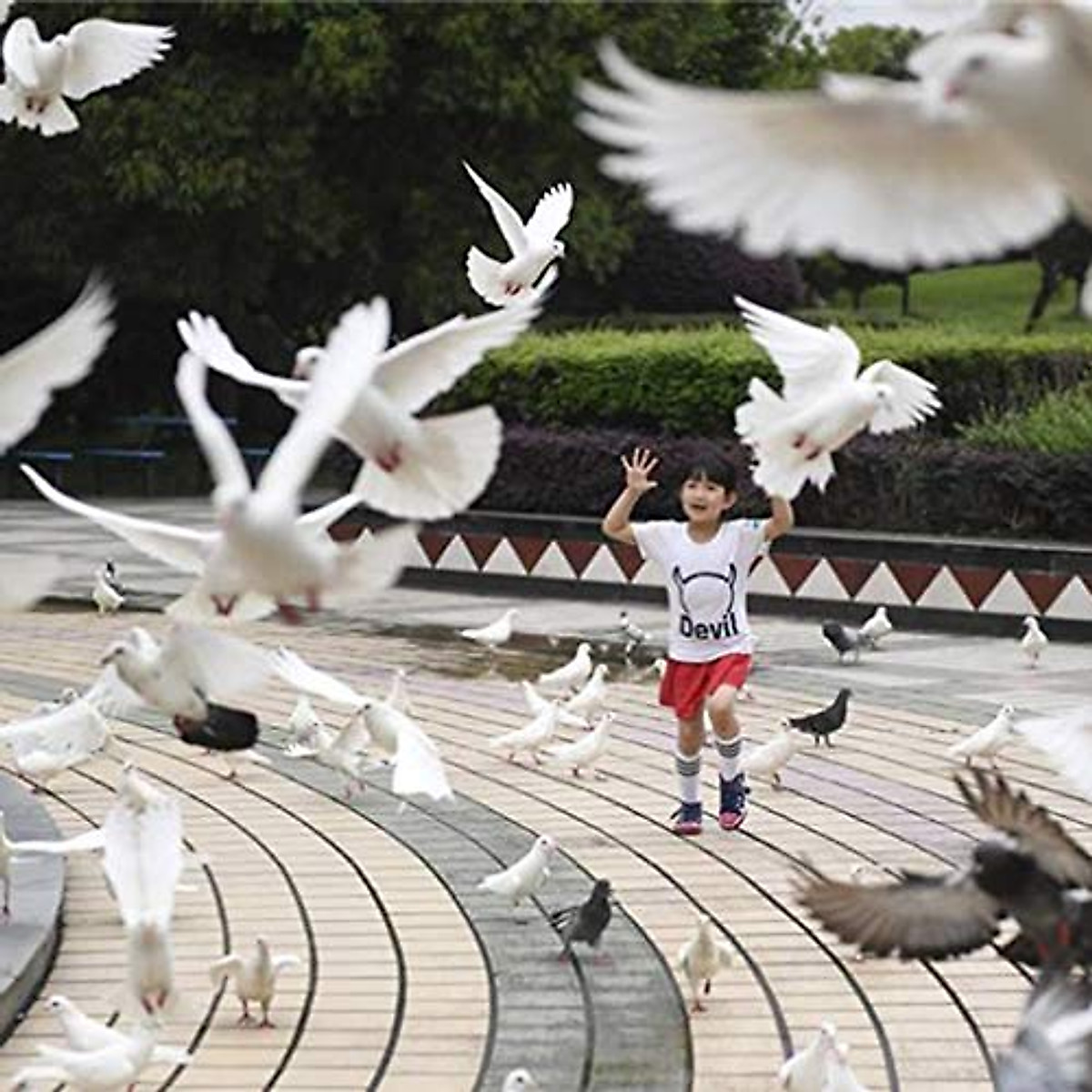 bird cage Pigeon Cage Combination Package Bird Cage Large Pigeon Nest Box Matching Cage Pigeon Pigeon Supplies Pigeon Cage Solid Wood Nest Box Outdoor Bird Nest ( Color : Brown-A , Size : 903035cm )