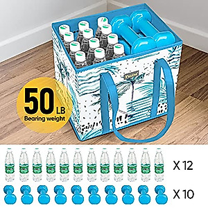 BALEINE 3Pk Reusable Grocery Bags, Foldable Shopping Bags for Groceries with Reinforced Bottom & Handles (Island Breeze)