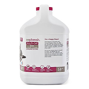 So Phresh Dual Odor Guard Scoopable Cat Litter 16 lbs.