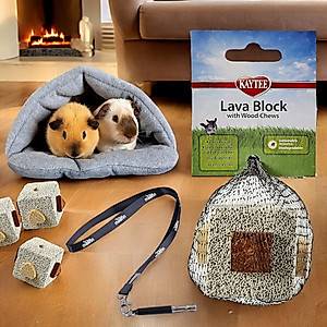 moofin Bundle of Pet Training Stainless Steel clicker WHI, and Lava Block Chew Toy,2.5 Inches x 2.5 Inches x 5 Inches, Pack of 3, Brown