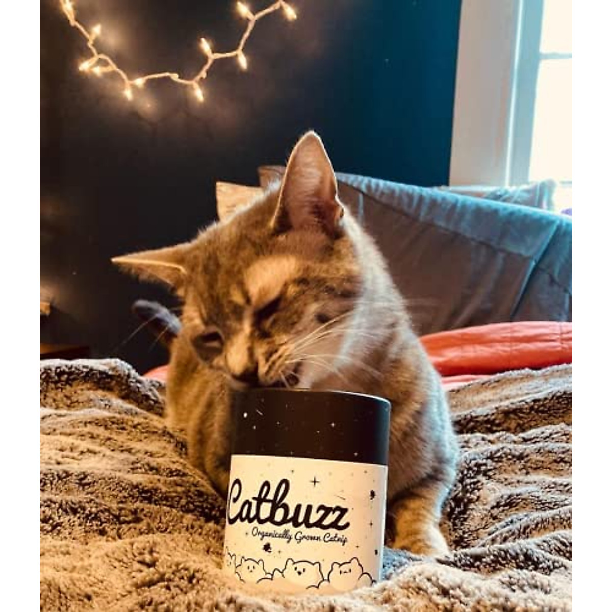 Catbuzz Premium and Organically Grown Catnip, Fresh, Grown by Family Farmers in USA, All-Natural, Eco-Friendly, Sustainable