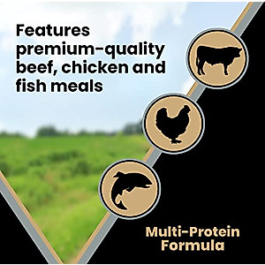 Victor Super Premium Dog Food – Purpose - Senior Healthy Weight – Gluten Free Weight Management Dry Dog Food for Senior Dogs with Glucosamine and Chondroitin, for Hip and Joint Health, 40lbs