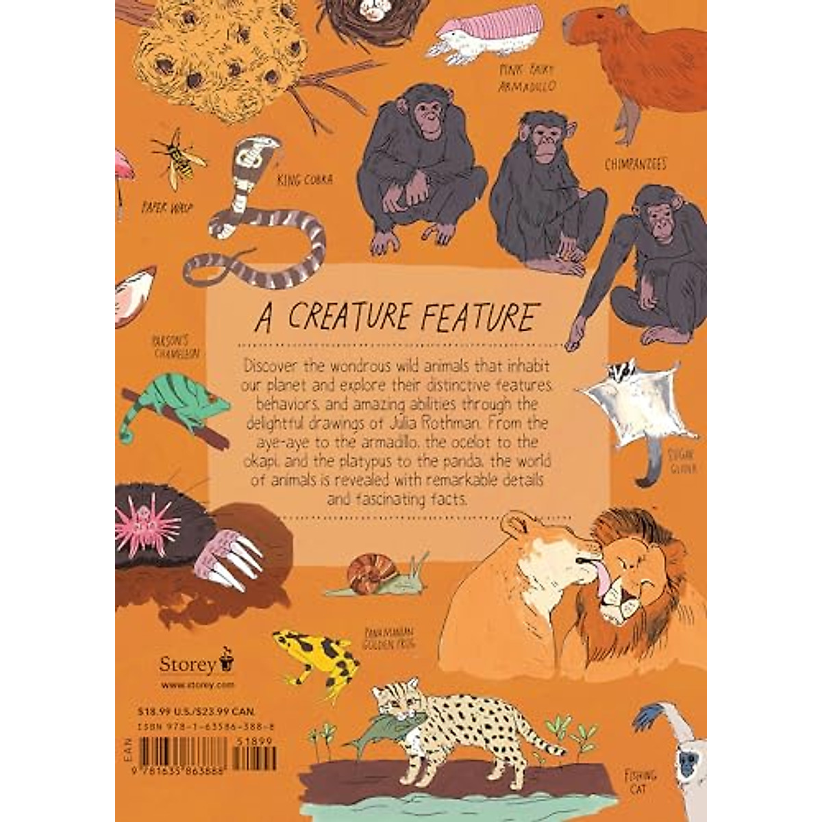 Wildlife Anatomy: The Curious Lives & Features of Wild Animals around the World