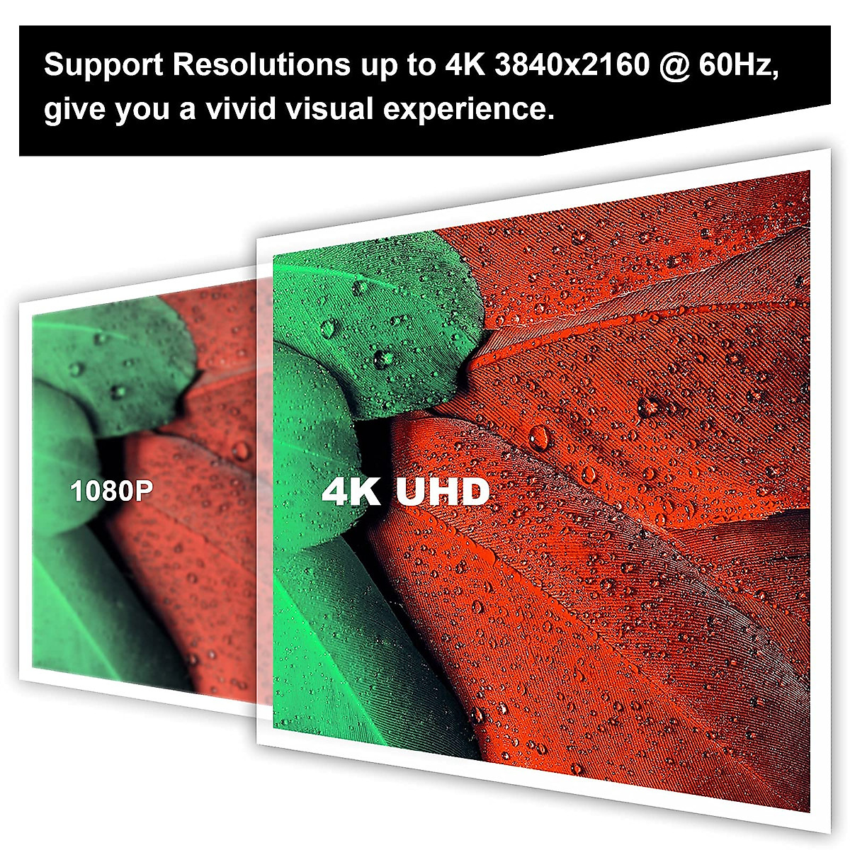 LEENUE HDMI Keystone Jack Pigtail Cable, HDMI Female to Female Pigtail Extension Cable 4k Coupler (2-Pack)-6 Inches