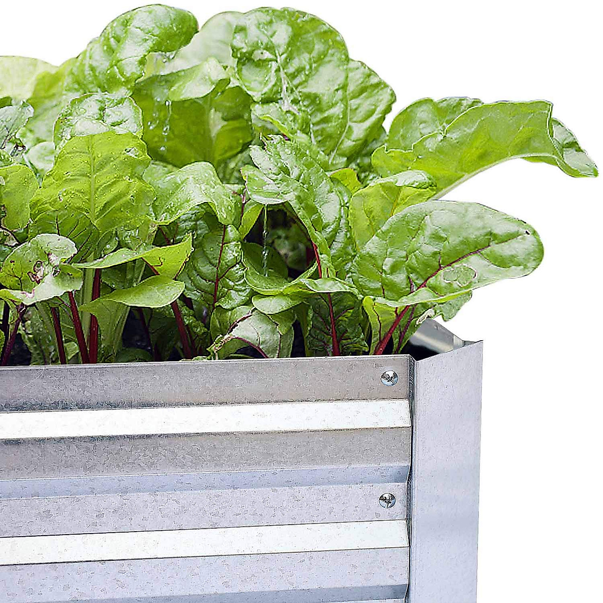 FOYUEE Galvanized Raised Garden Beds for Vegetables Large Metal Planter Box Steel Kit Flower Herb, 8x4x1ft