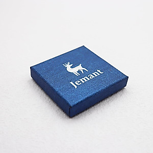 Jemant Lip Ring Chain To Ear For Women Men Silver Stainless Steel Nose Lip Ring Clip On Non Piercing Connected Chain Earring For Him Her (Silver)