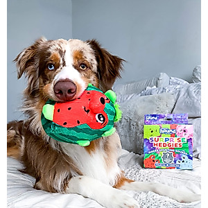 Outward Hound Surprise Hedgies Dog Toys - UNbox and Surprise! Collect All 3 Grunting Hedgies Dog Toys!