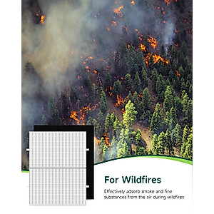 HPA200 Replacement Filter R Compatible with Honeywell Air Purifier 200 Series, 2 H13 True HEPA Filters with 4 Pre-Cut Carbon Filters, Part# HRF-ARVP200