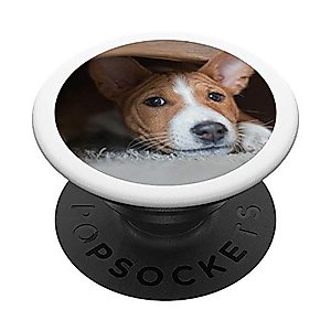 Cute Basenji Face Dog Breed Men Women Boy Girl Lover Gift PopSockets PopGrip: Swappable Grip for Phones & Tablets