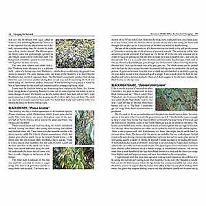 Foraging for Survival: Edible Wild Plants of North America