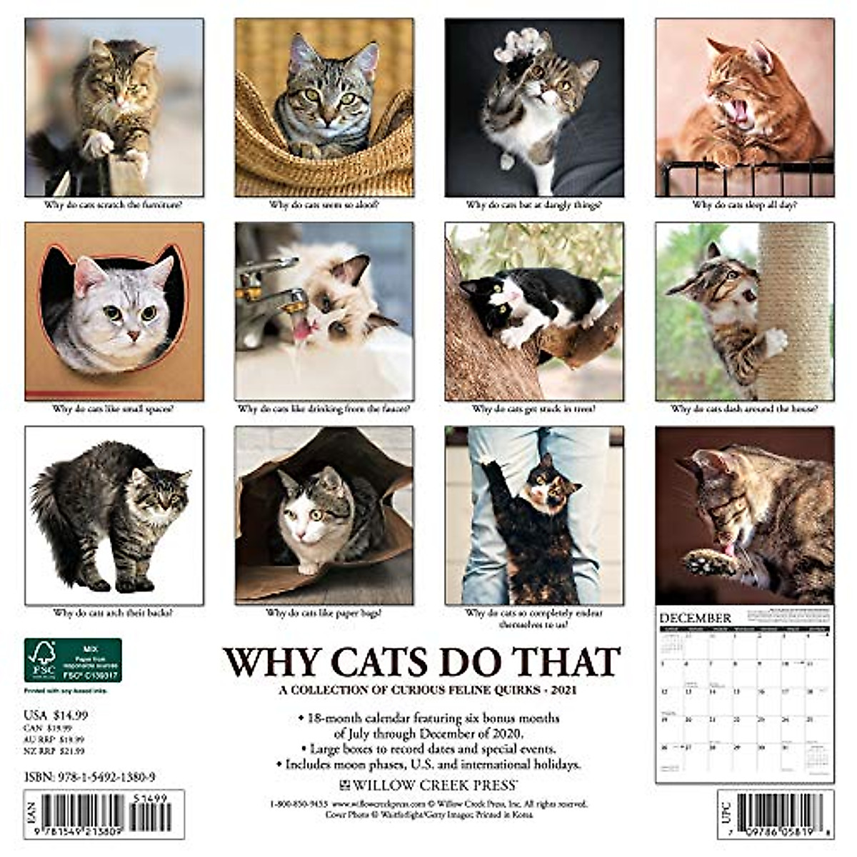 Why Cats Do That 2021 Wall Calendar