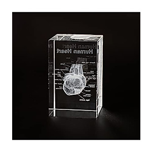 Ultrassist 3D Human Heart Crystal Model, Laser Etched Anatomical Model for Home and Office Decoration, Cardiology Gifts