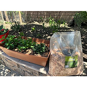 Double Tree Incense Cedar Wood Chips for Potted Plants, Garden, Animal Beddings and Litter Box - 100% Natural Perfect for Indoor and Outdoor Use… (4 Quart)