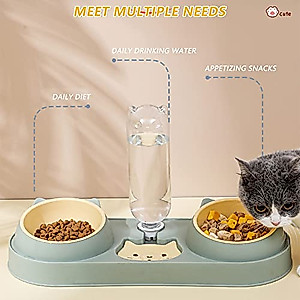 Foviza Double Dog Cat Bowls with Water Dispenser Pets Water and Food Bowl Set Tilted Cat Food Dishes with Automatic Waterer Bottle for Small or Medium Size Dogs Cats