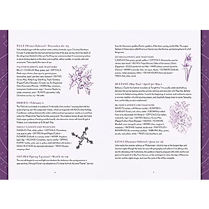 Modern-Day Witch Calendar 2024 Wheel of the Year 17-Month Planner (The Modern-Day Witch)