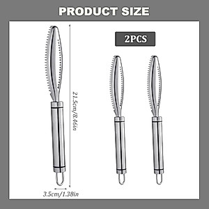 Fish Scaler, 2PCS Stainless Steel Fish Scale Remover, Sawtooth Fish Descaler with Non Slip Handle, Hanging Fish Scaler Tool for Kitchen, Seafood Markets, Fish Scaler