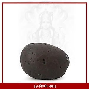 Vedic Vaani Aniruddha Vishwambhara Matsya Kurma Vishnu Avatar Shaligram|Shaligram Paste|Tulsi mala (Pack of 3)