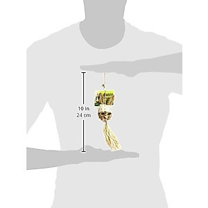 Ware Manufacturing Natural Fun-E-Bunny Small Pet Chew Toy