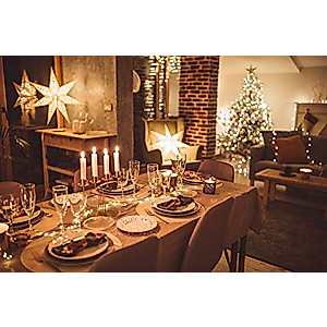 DecoBrite Warm White LED Battery Operated Christmas String Lights with 8 Modes Function 100 ct. 26ft (8m) Micro Bulbs on Green Wire Indoor Outdoor Holidays Patio Decoration (Warm White)