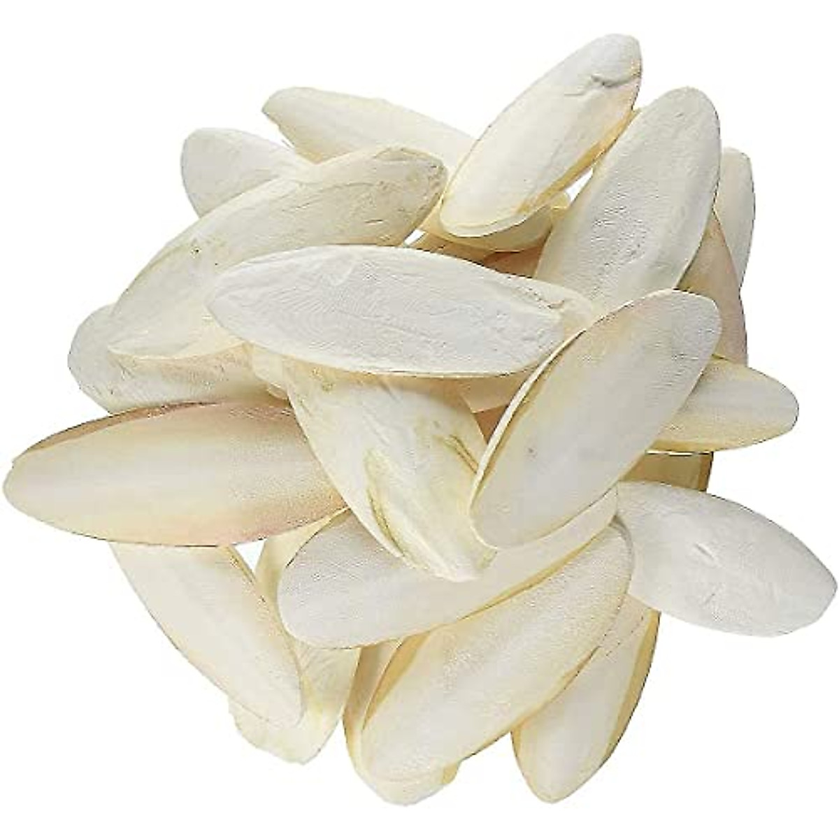 Cuttlebones Large, 25-pk