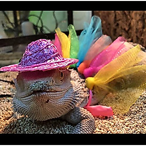 Lizard Clothes for Bearded Dragon - Adjustable Layered Rainbow Tutu Skirt and Hat Set Halloween Costume Photo Cosplay Party Dress Up Gift for Reptile Lizard Crested Gecko Chameleon (Rainbow)