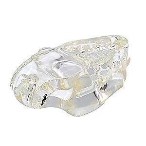 Transparent Feline Teeth Model Anatomy Cat Teeth Model Animal Models Teeth Up Teaching PVC Material for Veterinary or Medical Teaching Dental Model