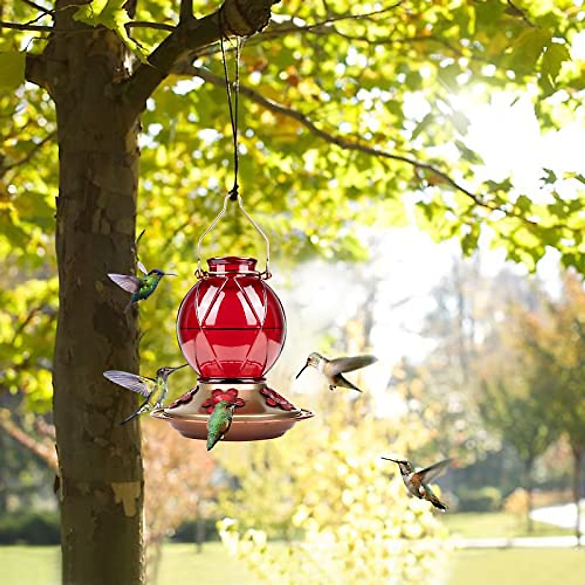 BOLITE 18016-R Hummingbird Feeder, Glass Hummingbird Feeder for Outdoors, Meshy Texture Ball Shape Bottle, 18 Ounces, Red, Xmas Gifts for Bird Lovers