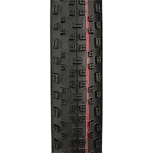 Schwalbe Racing Ralph Tubeless Easy Snakeskin Tire 27.5 x 2.25 EVO Folding