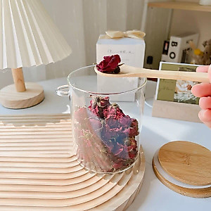 2 Pcs 18.5Oz,Glass Jar Containers with Bamboo Airtight Lid & Spoon,Stackable Glass Food Storage Canisters Set Kitchen Organization Jars for Candy Spice Sugar Coffee Nuts(2)