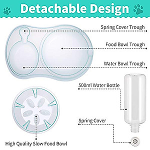 BINGPET Automatic Feeder Slow Food and Refill Water Bowl for Cat & Dog, Removable Automatic Water Dispenser and Slow Food Bowl, Non-Slip Pet Feeder Water Bowls for Cats and Puppies