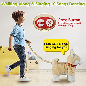 HCdoujoy Corgi Walking Dog Barking Toy, Musical Singing Dancing Dog, Volume Control Interactive Puppy Walk Along with Leash, Wagging Tail Shaking Head, Electronic Dog Stuffed Animal Puppy for Kid